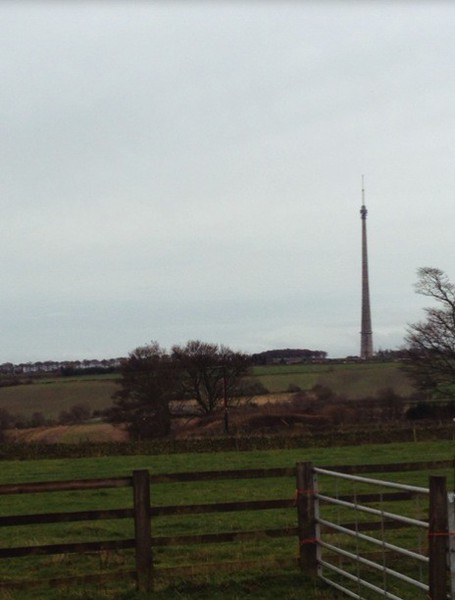 Gallery - Newhall Farm