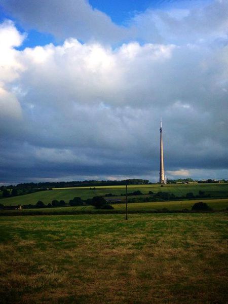 Gallery - Newhall Farm