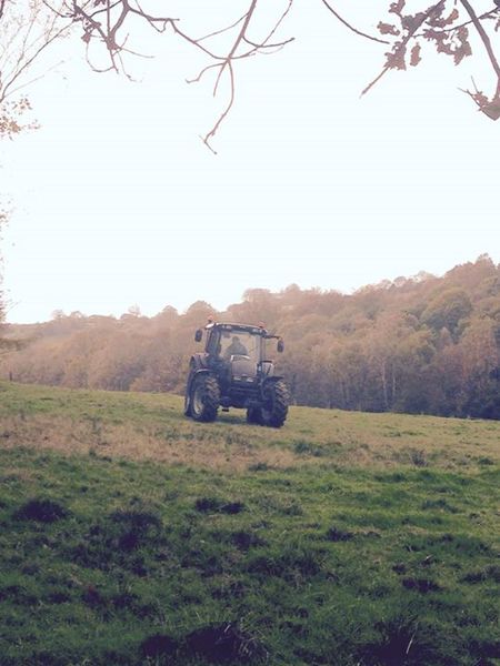 Gallery - Newhall Farm