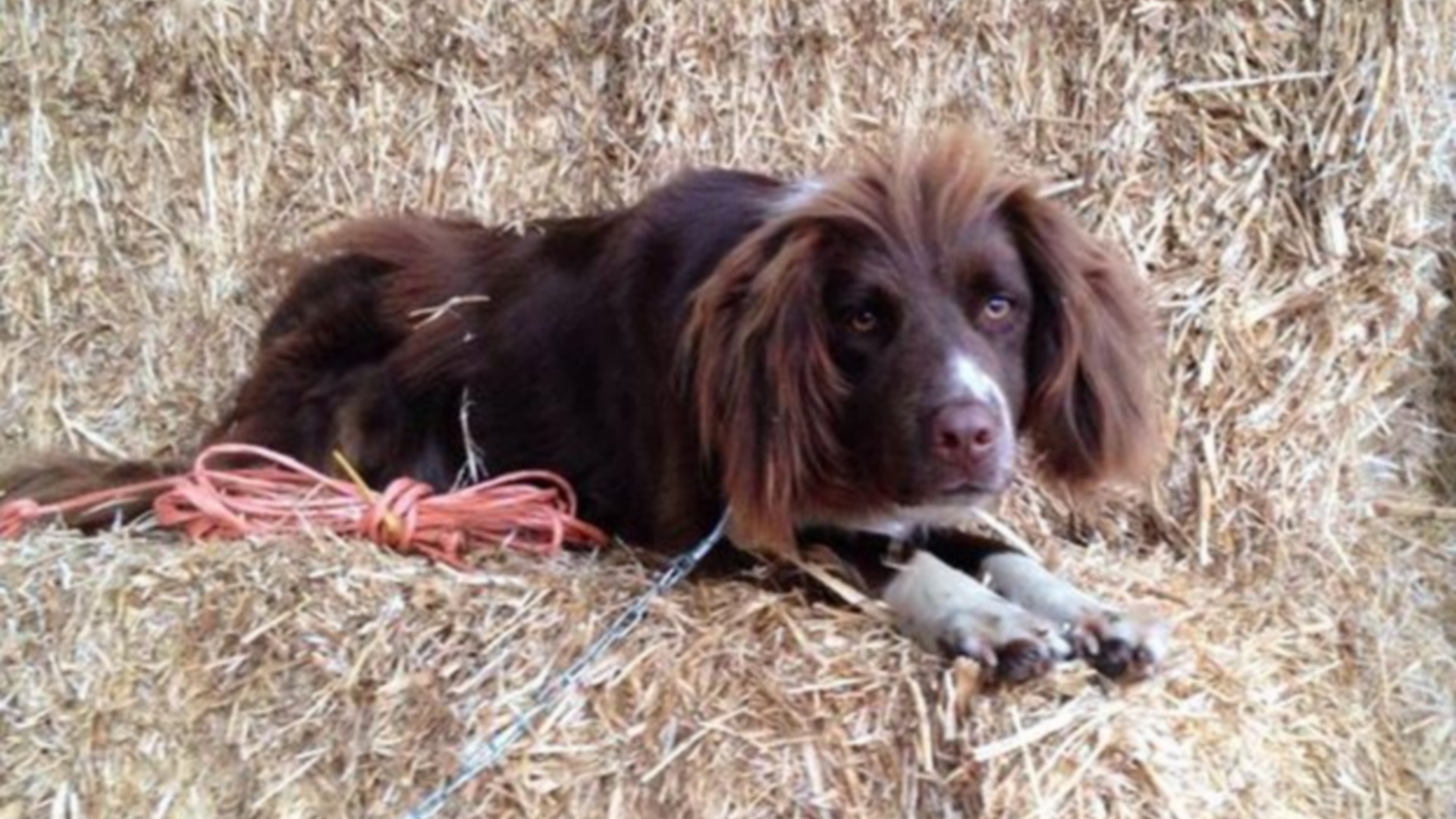 Gallery - Newhall Farm