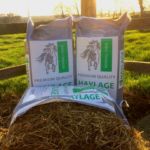 Gallery – Newhall Farm