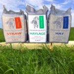 Gallery – Newhall Farm