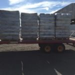 Gallery – Newhall Farm