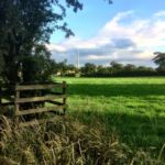 Gallery – Newhall Farm